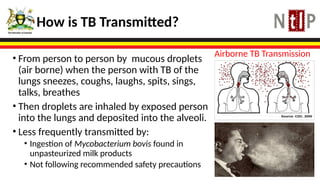 UNIT 1.2 TB BASIC FACTS AND CLASSIFICATION.pptx