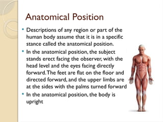 UNIT 1 fundamentals of nursing prepositions | PPTX