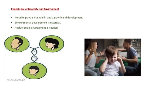 Unit 1.1 Heredity and Environment of an Individual | PPTX