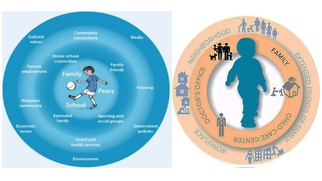 Unit 1.1 Heredity and Environment of an Individual | PPTX