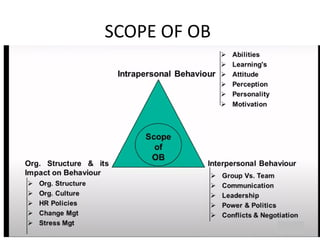 PPT on basic of Organization Behaviour, fundamental, basic, theories | PPTX
