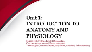 The Basic Foundation an Introduction to Anatomy and Physiology | PPTX