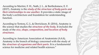 The Basic Foundation an Introduction to Anatomy and Physiology | PPTX