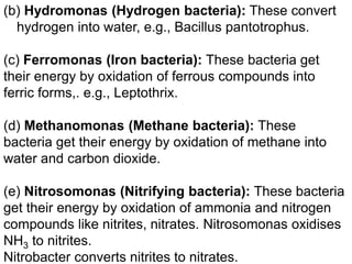 Nutritional classification of microorganisms | PPT
