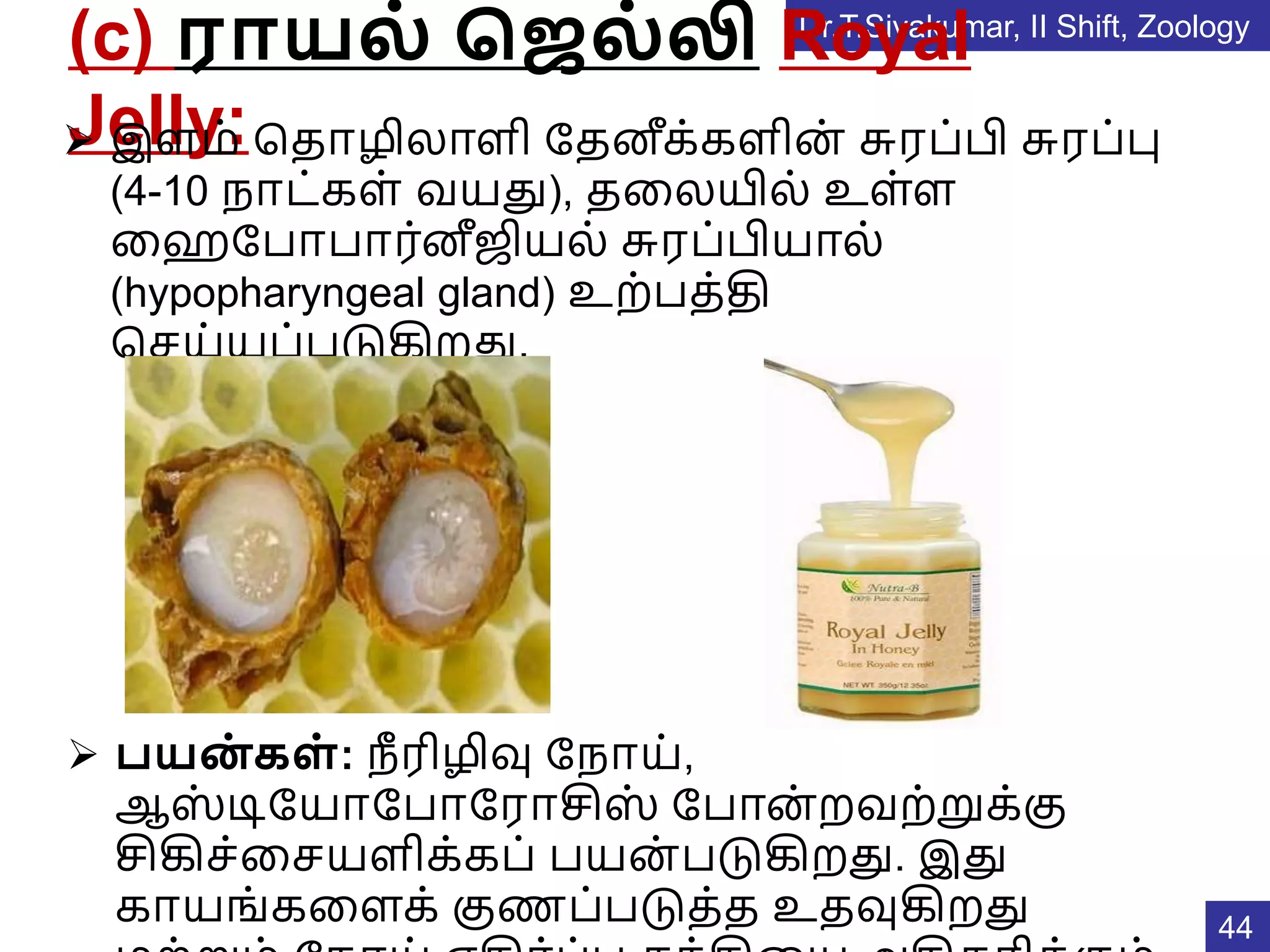 UNIT 1 - apiculture.pdf