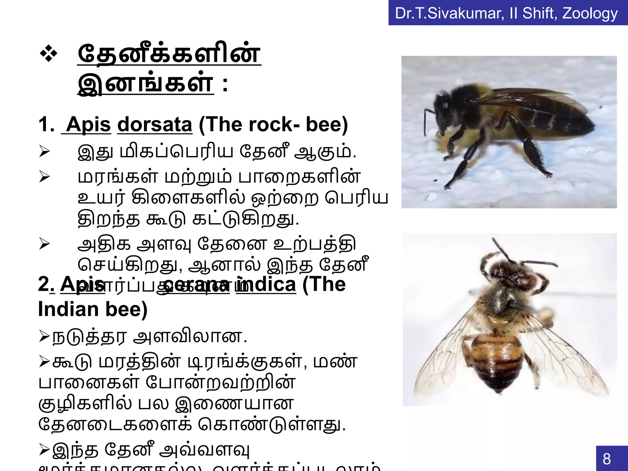 UNIT 1 - apiculture.pdf