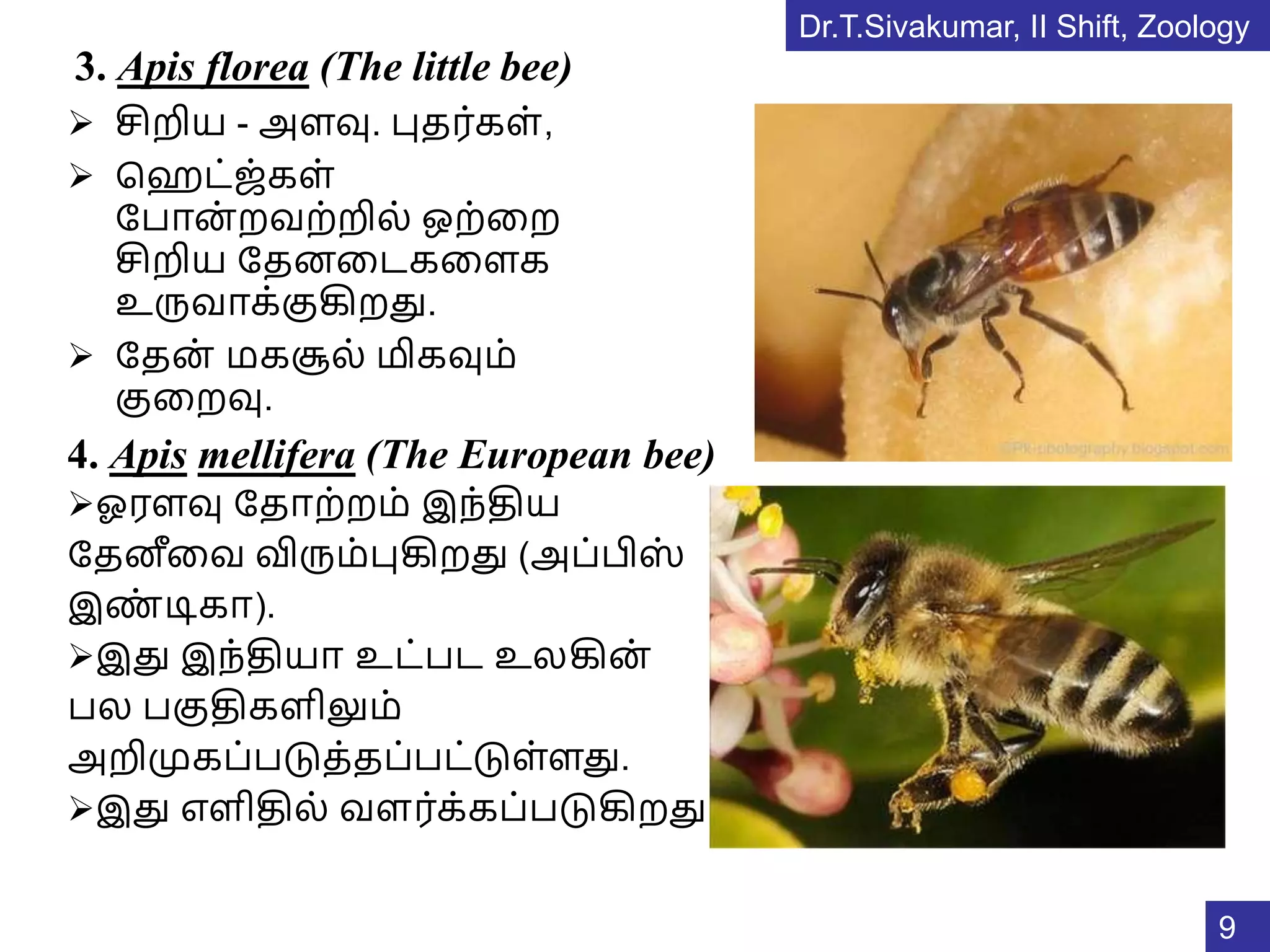 UNIT 1 - apiculture.pdf
