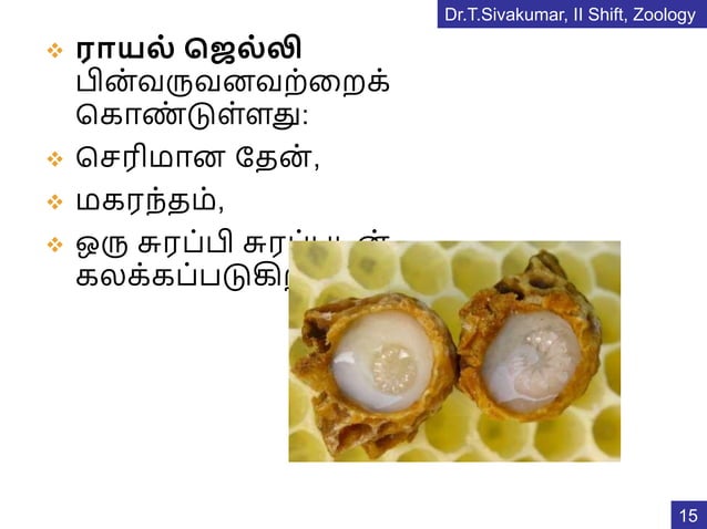 UNIT 1 - apiculture.pdf