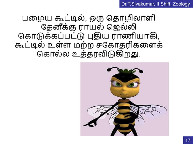 UNIT 1 - apiculture.pdf