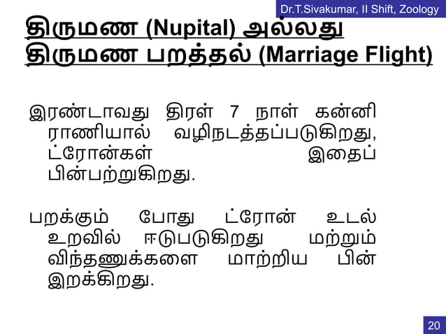 UNIT 1 - apiculture.pdf