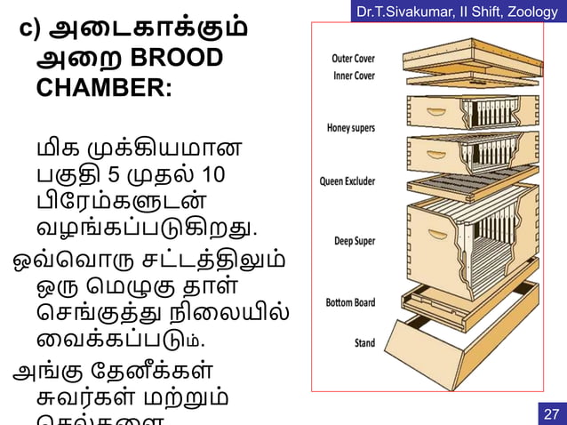 UNIT 1 - apiculture.pdf