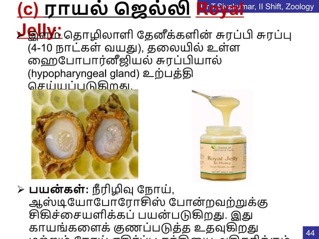 UNIT 1 - apiculture.pdf