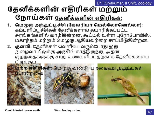 UNIT 1 - apiculture.pdf