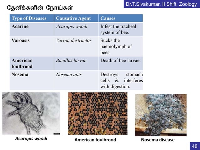 UNIT 1 - apiculture.pdf