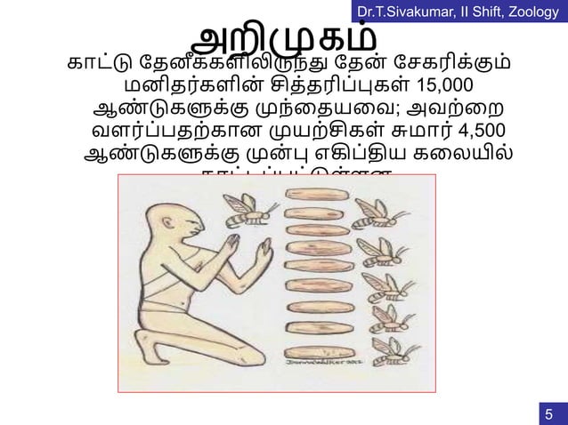 UNIT 1 - apiculture.pdf
