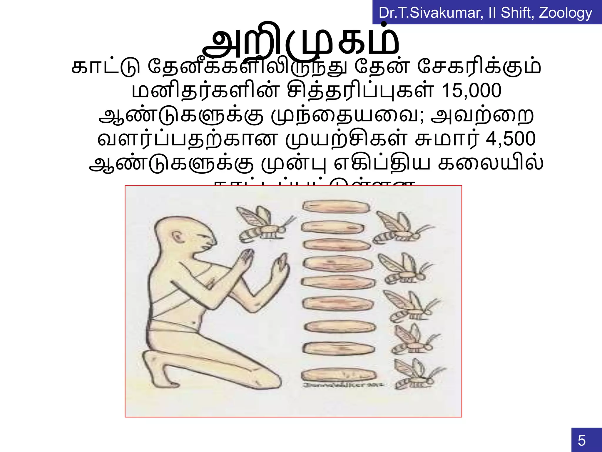 UNIT 1 - apiculture.pdf