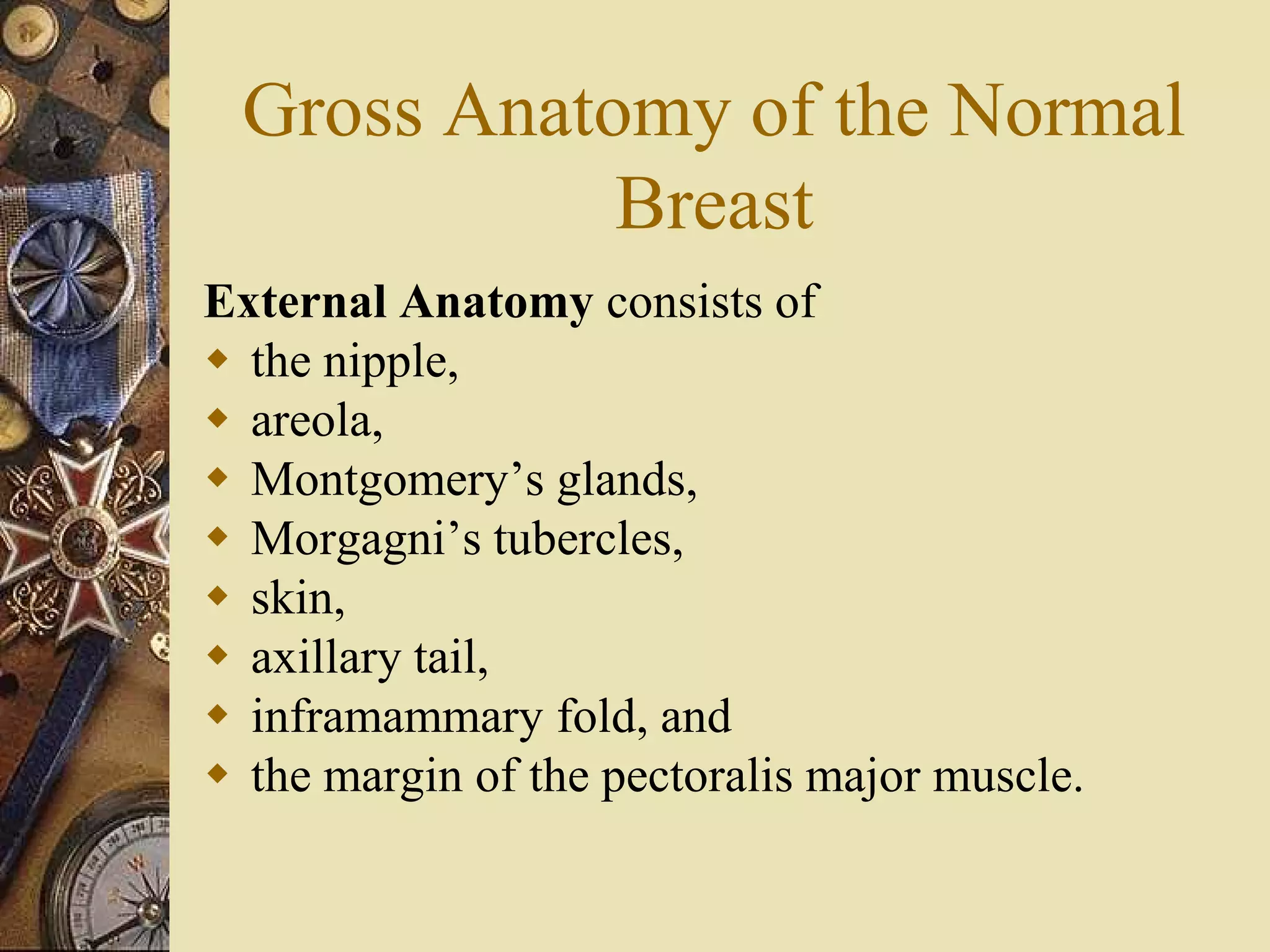 breast anatomy and physiology | PDF