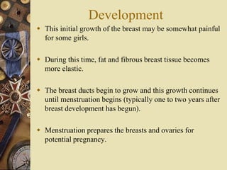 breast anatomy and physiology | PDF