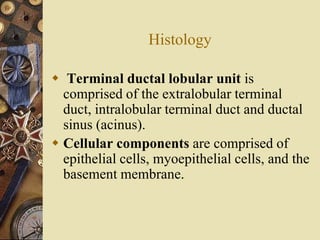 breast anatomy and physiology | PDF
