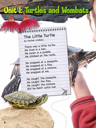 Reading Eggs - Turtle, Wombat poems | PDF