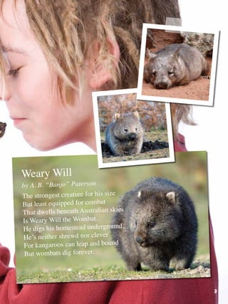 Reading Eggs - Turtle, Wombat poems | PDF