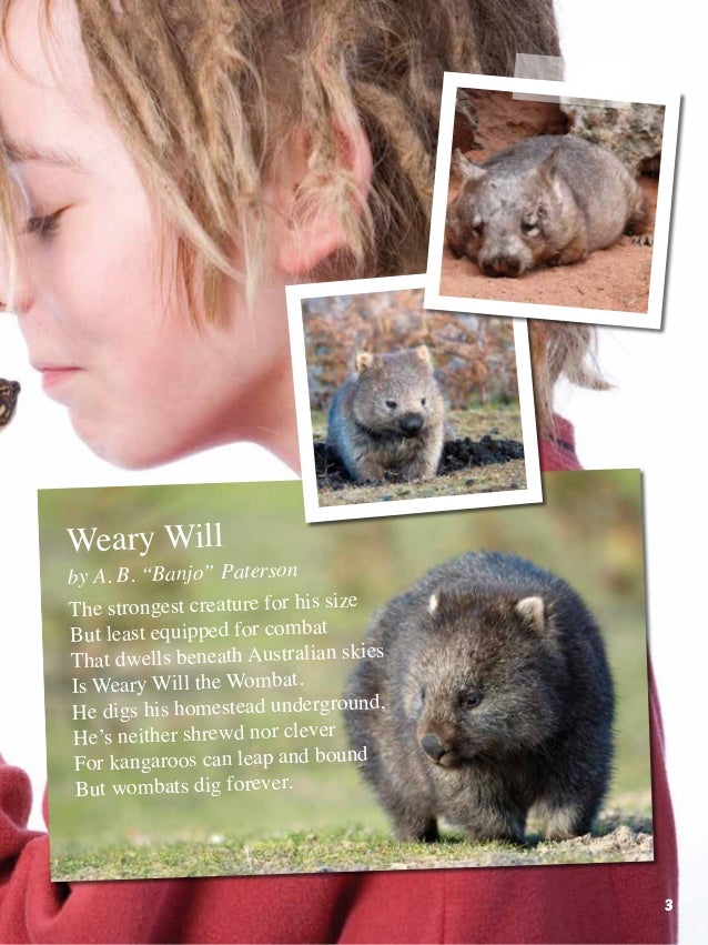 Reading Eggs - Turtle, Wombat poems