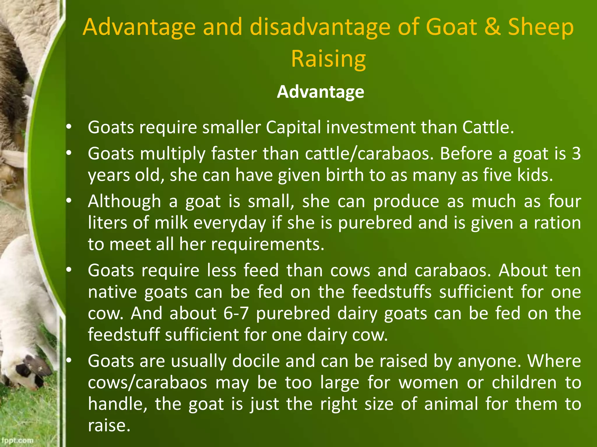 Overview of Goat and Sheep Prod'n & Mngt. and Breeds | PPTX