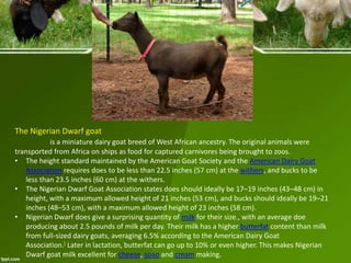 Overview of Goat and Sheep Prod'n & Mngt. and Breeds | PPTX
