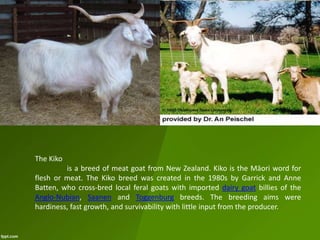 Overview of Goat and Sheep Prod'n & Mngt. and Breeds | PPTX