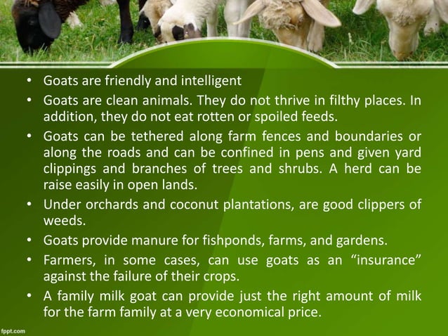 Overview of Goat and Sheep Prod'n & Mngt. and Breeds | PPT