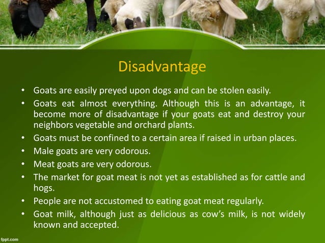 Overview of Goat and Sheep Prod'n & Mngt. and Breeds | PPT