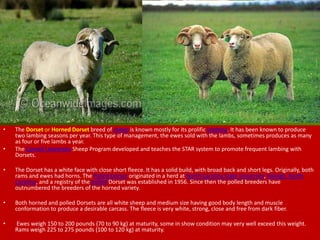 Overview of Goat and Sheep Prod'n & Mngt. and Breeds | PPTX