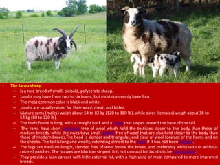 Overview of Goat and Sheep Prod'n & Mngt. and Breeds | PPTX