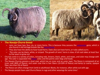 Overview of Goat and Sheep Prod'n & Mngt. and Breeds | PPTX