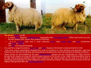 Overview of Goat and Sheep Prod'n & Mngt. and Breeds | PPTX