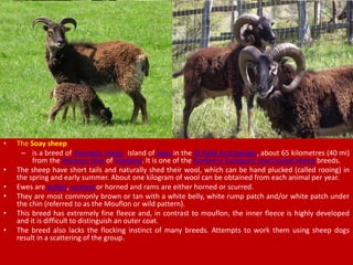 Overview of Goat and Sheep Prod'n & Mngt. and Breeds | PPTX
