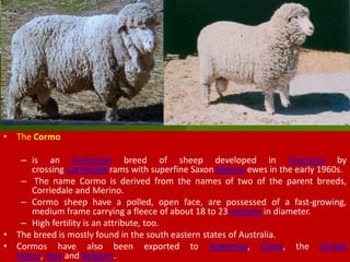 Overview of Goat and Sheep Prod'n & Mngt. and Breeds | PPTX