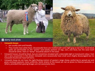 Overview of Goat and Sheep Prod'n & Mngt. and Breeds | PPTX