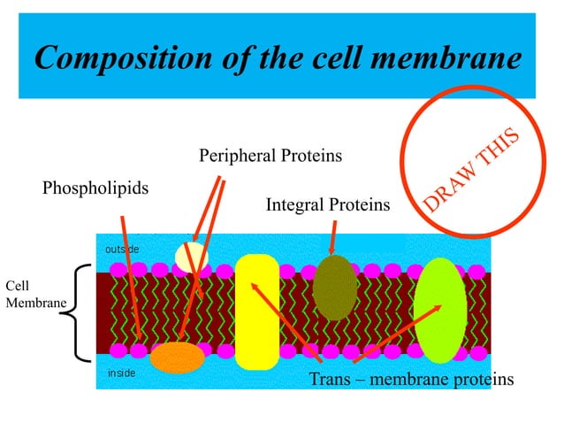 Unit 1 - Introduction to Biochemistry.pdf