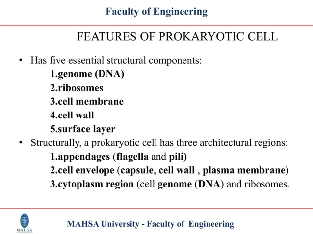 Unit 1 - Introduction to Biochemistry.pdf