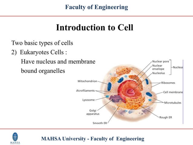 Unit 1 - Introduction to Biochemistry.pdf