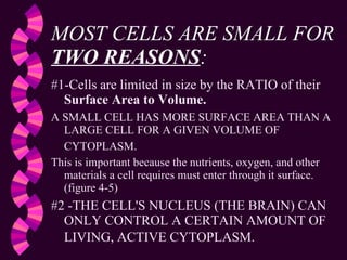 Unit1 lesson2-cells | PPT