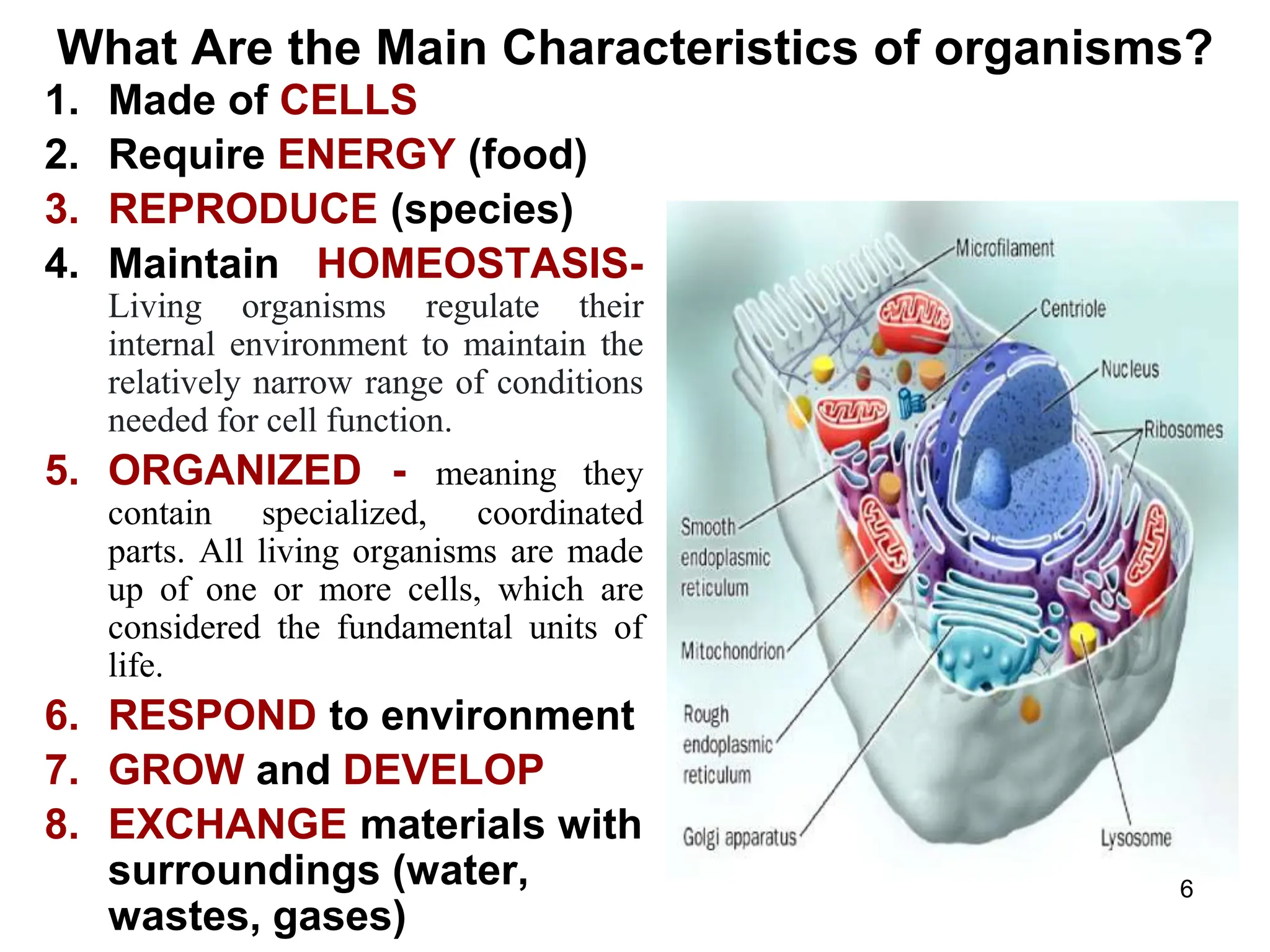 Cell basic unit of life | PPTX