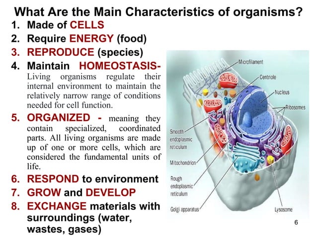 Cell basic unit of life | PPTX
