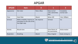 Unit 1 motor development - vo - copy | PPT