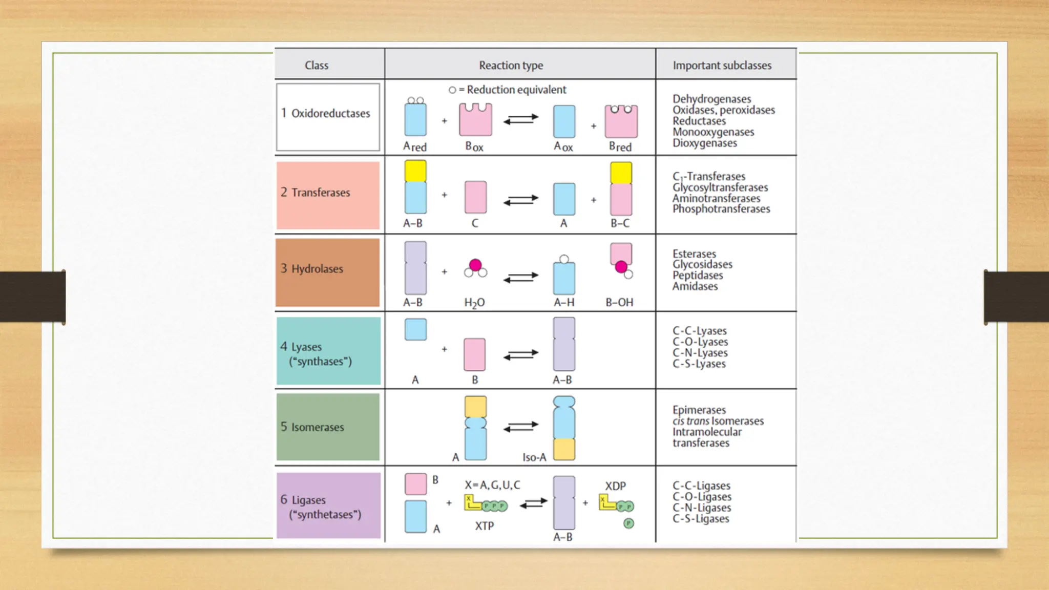 Unit 1- Nomenclature and classification of enzymes.pdf