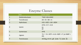 Unit 1- Nomenclature and classification of enzymes.pdf