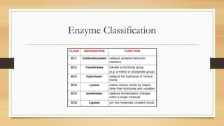 Unit 1- Nomenclature and classification of enzymes.pdf