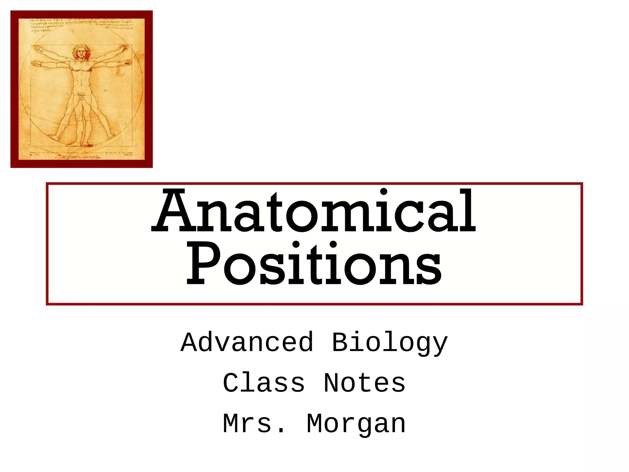 Anatomical positioning notes | PPT