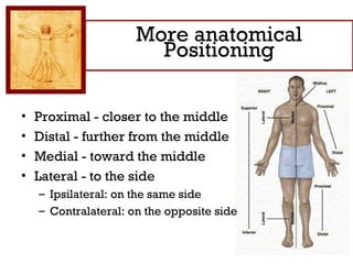 Anatomical positioning notes | PPT